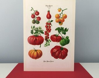 Tomato card | Etsy