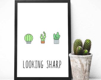Looking sharp cactus | Etsy