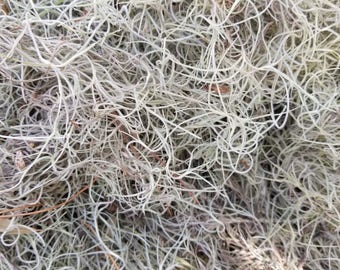 Spanish moss | Etsy