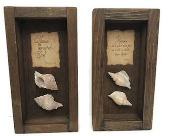 Seashell shadow box | Etsy