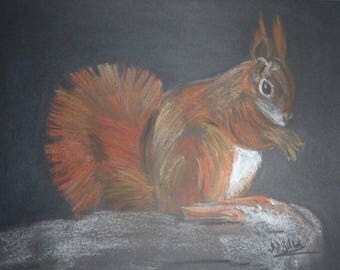 Squirrel drawing | Etsy