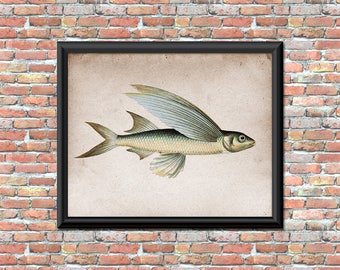 Flying fish print | Etsy