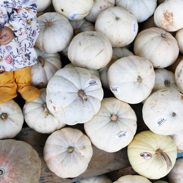Native American Made Beaded Baby Moccasins by AuthenticNativeMade