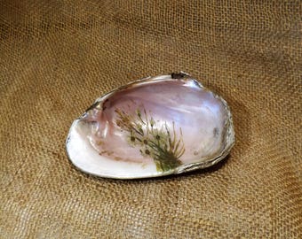 Painted oyster shell | Etsy