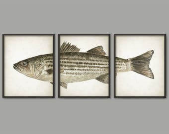 Bass fishing art | Etsy