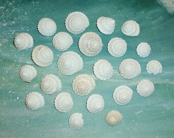 American star | Etsy