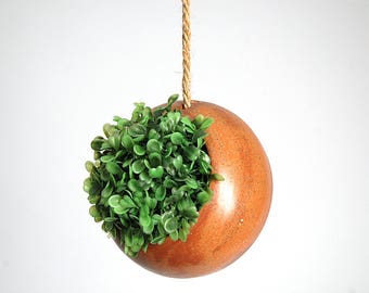 Hanging Planter Indoors Rustic Hanging Succulent Planter Log