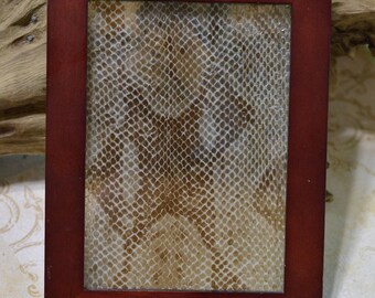 Boa constrictor | Etsy