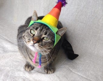 Birthday Party Hat For Cats ANY COLOR