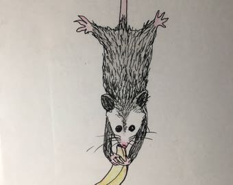 Opossum drawing | Etsy