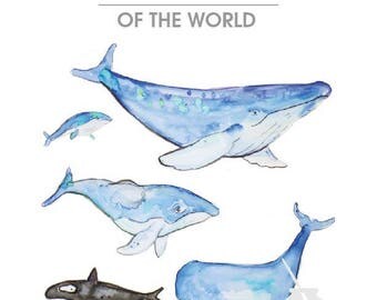 Watercolor whales clipart Whale clipart Marine mammals clip
