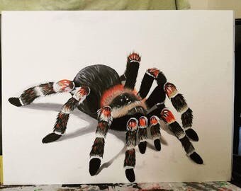 Tarantula | Etsy