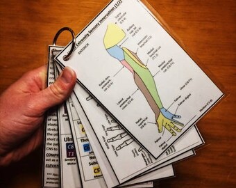 Occupational therapy | Etsy