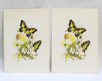 Butterfly lithograph | Etsy