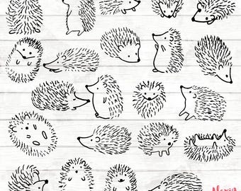 Hedgehog clipart | Etsy