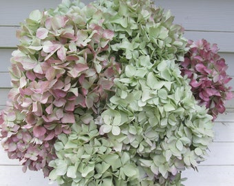 Dried hydrangeas | Etsy
