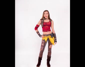 Borderlands 2 Wanted Posters Lilith