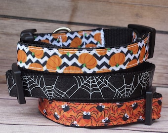Halloween dog collar | Etsy