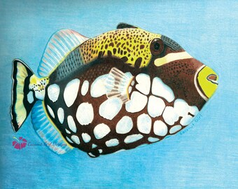tropical fish art trigger fish art humuhumu art ocean art
