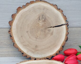 Oak wood slices | Etsy