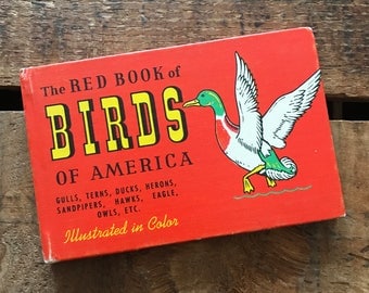 Vintage bird book | Etsy