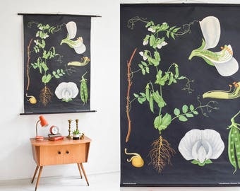 Botanical poster | Etsy