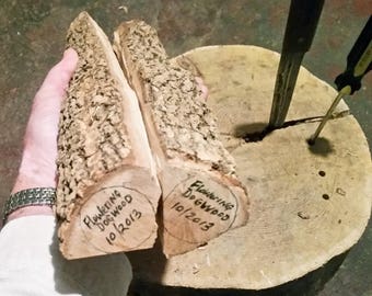 Cornus florida | Etsy