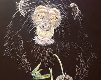 Monkey Chimpanzee Art Print 8 x 10 High School Yearbook