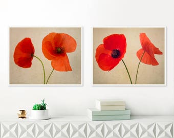 Orange poppy | Etsy