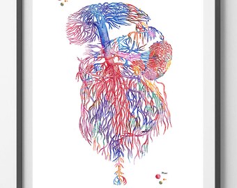 Circulatory system | Etsy