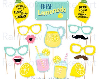 Lemonade Party Photo Booth Props Photobooth Props Summer