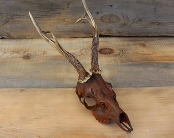 Metal deer skull | Etsy