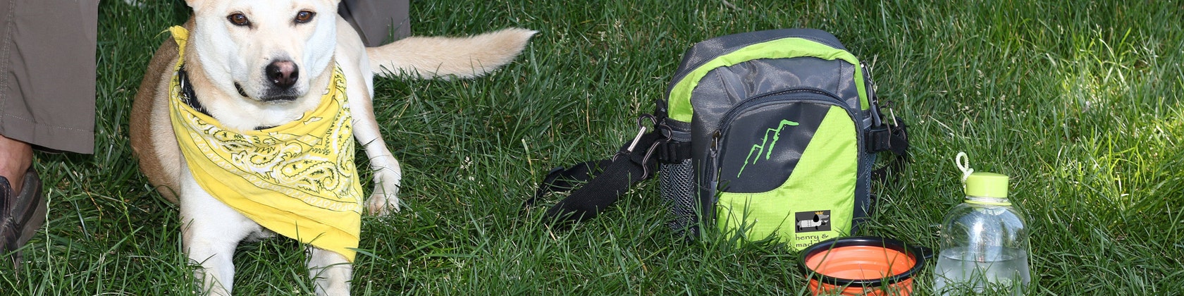 Fido to Go Bag. Great Gift to give New Dog/Puppy by LetsGoFido