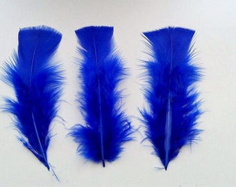 Small Blue Feathers Blue Laced Feather Crafting Plumes Blue