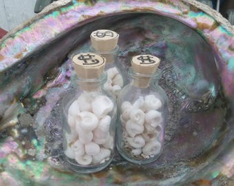 Bottle with shells | Etsy