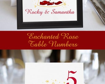 Beauty and the Beast Table Numbers Disney Wedding Table