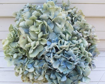 Dried hydrangeas | Etsy