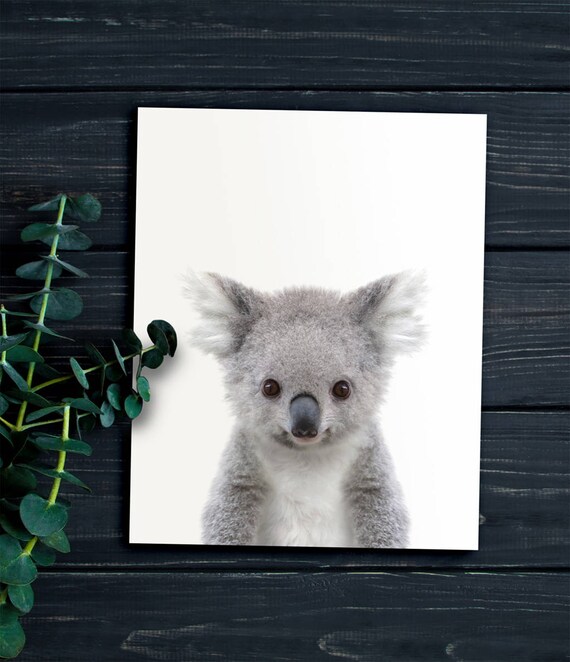 Koala print PRINTABLE art Nursery animals Animal prints