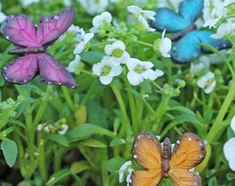 Butterfly terrarium | Etsy