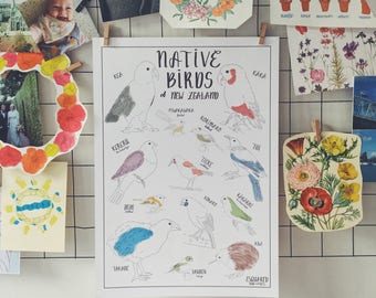 New zealand birds | Etsy