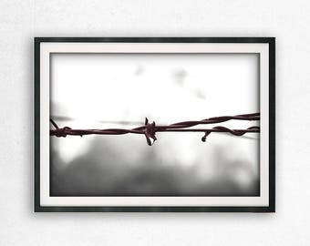 Barbed wire art | Etsy