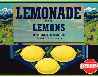 Lemonade labels | Etsy
