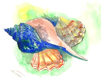 Seashell Painting 2 Print from Original Watercolor Painting