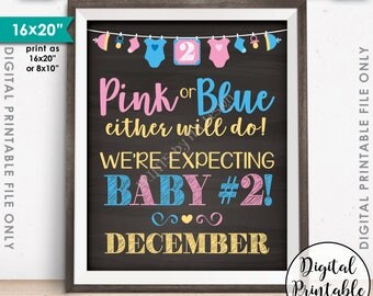 Gender Reveal Sign Blue or Pink What Do You Think Gender