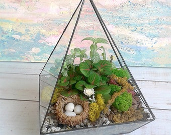 Geometric terrarium | Etsy