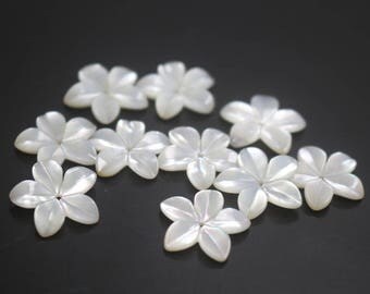 Shell flowers | Etsy