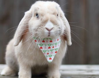 Pet rabbit clothing | Etsy