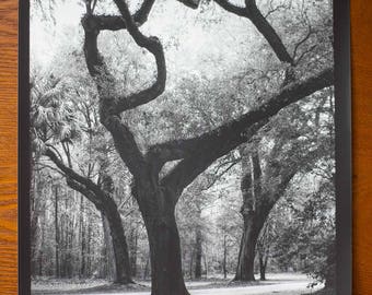 Keith Dotson Fine Art Photographs by keithdotson on Etsy