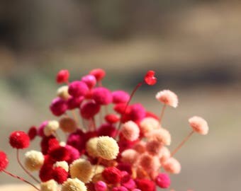 Mini dried flowers | Etsy