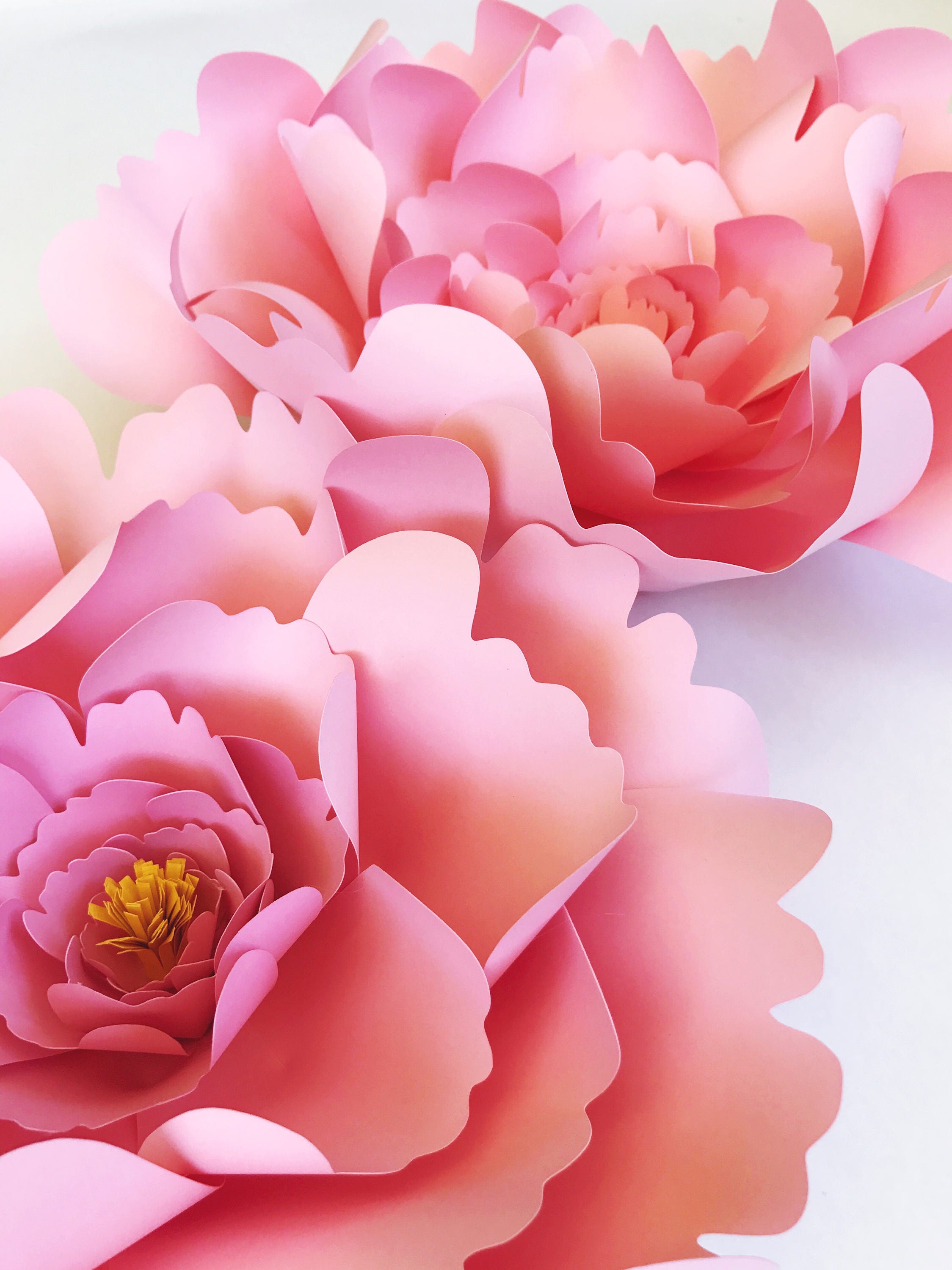Large Peony Paper Flower Template DIY Instant Download